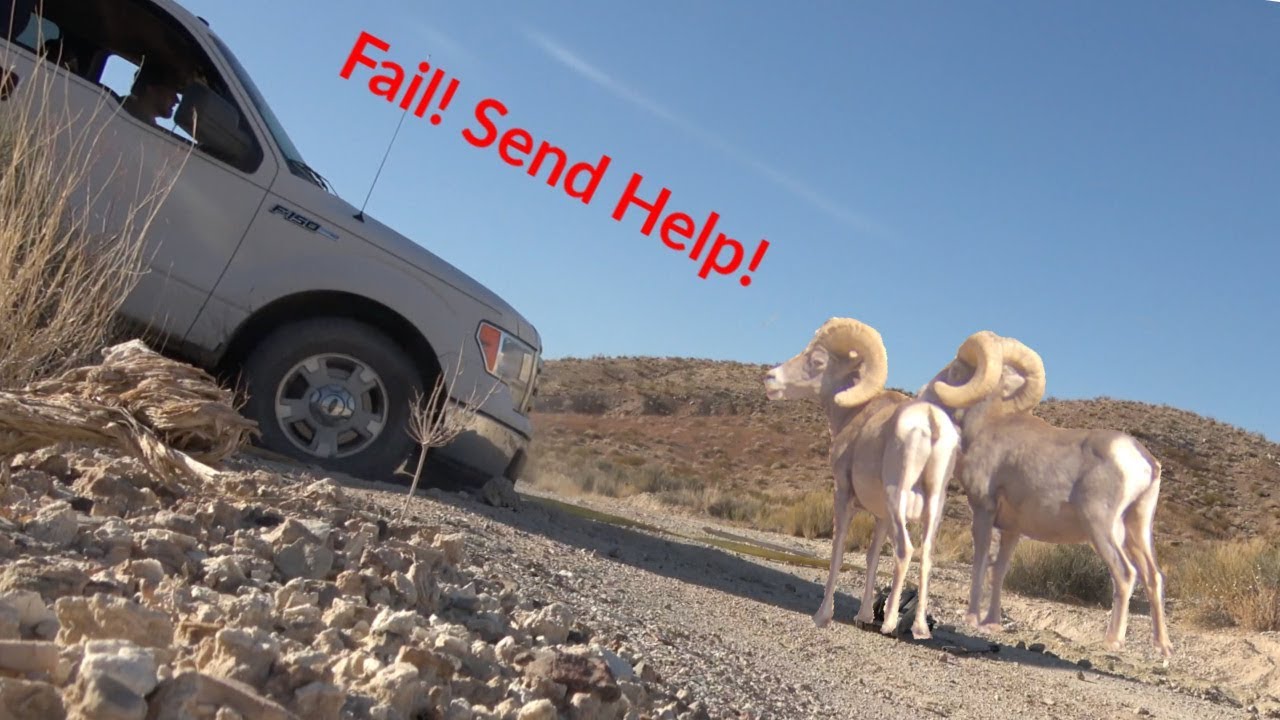 This Happened on my 1st Big Horn Sheep Hunt! (FAIL!) - YouTube