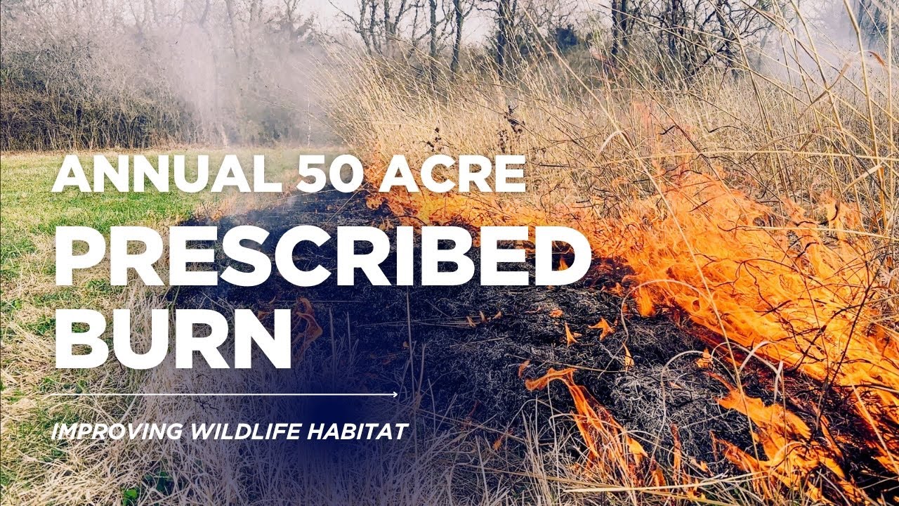 Habitat Management | Prescribed Controlled Burn | CRP - YouTube