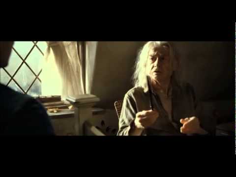 Harry Potter Deathly Hallow's Part 2 - Mr Olivander Checking The Wand's