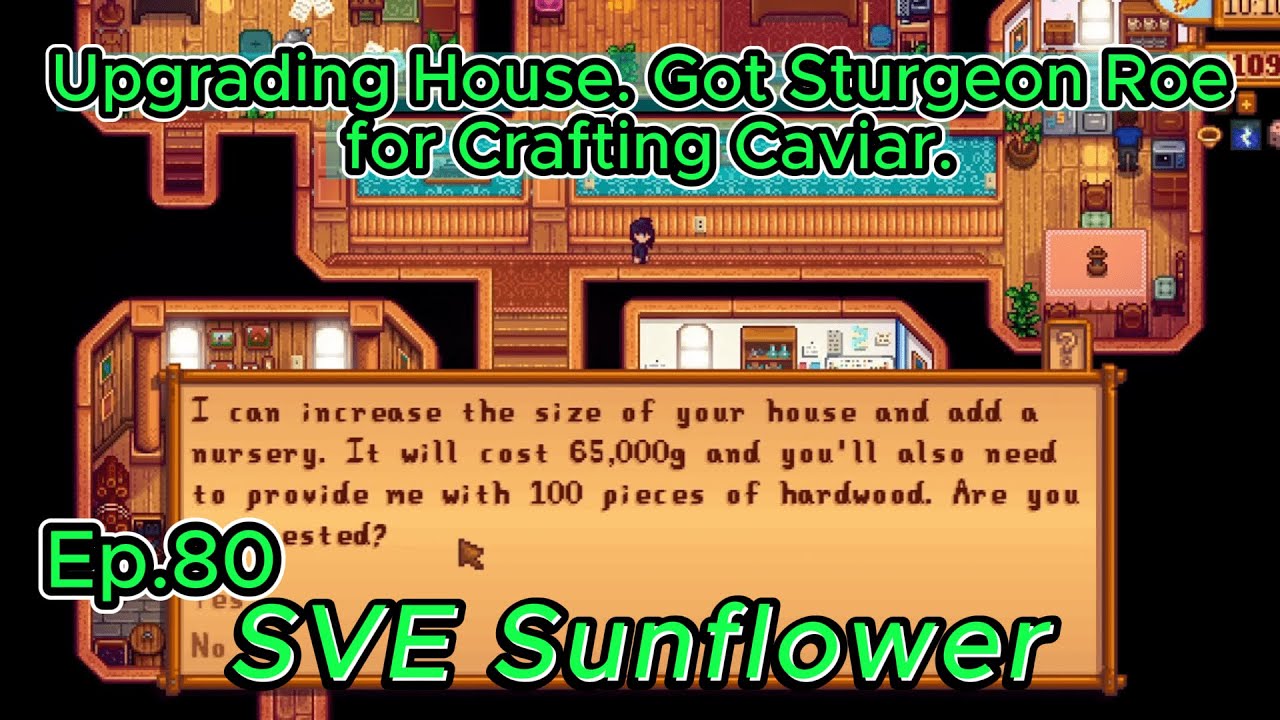 Stardew Valley Sunflower Ep80 Y2 Summer- 19-20:Upgrading House. Got ...