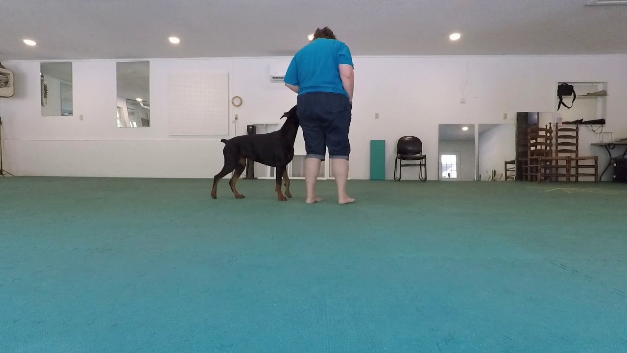 Glimmer Rally Signs Week 4 3 Pivots - YouTube