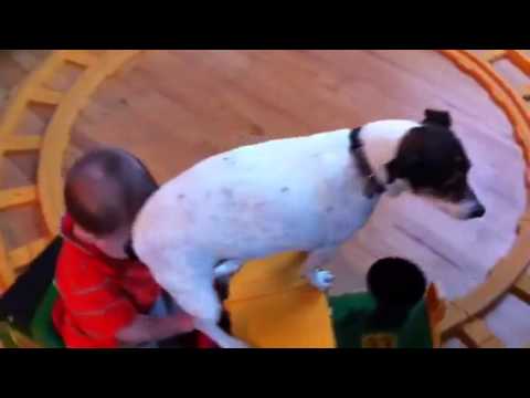 Baby and dog ride toy train - YouTube