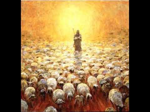 All we like sheep have gone astray - YouTube