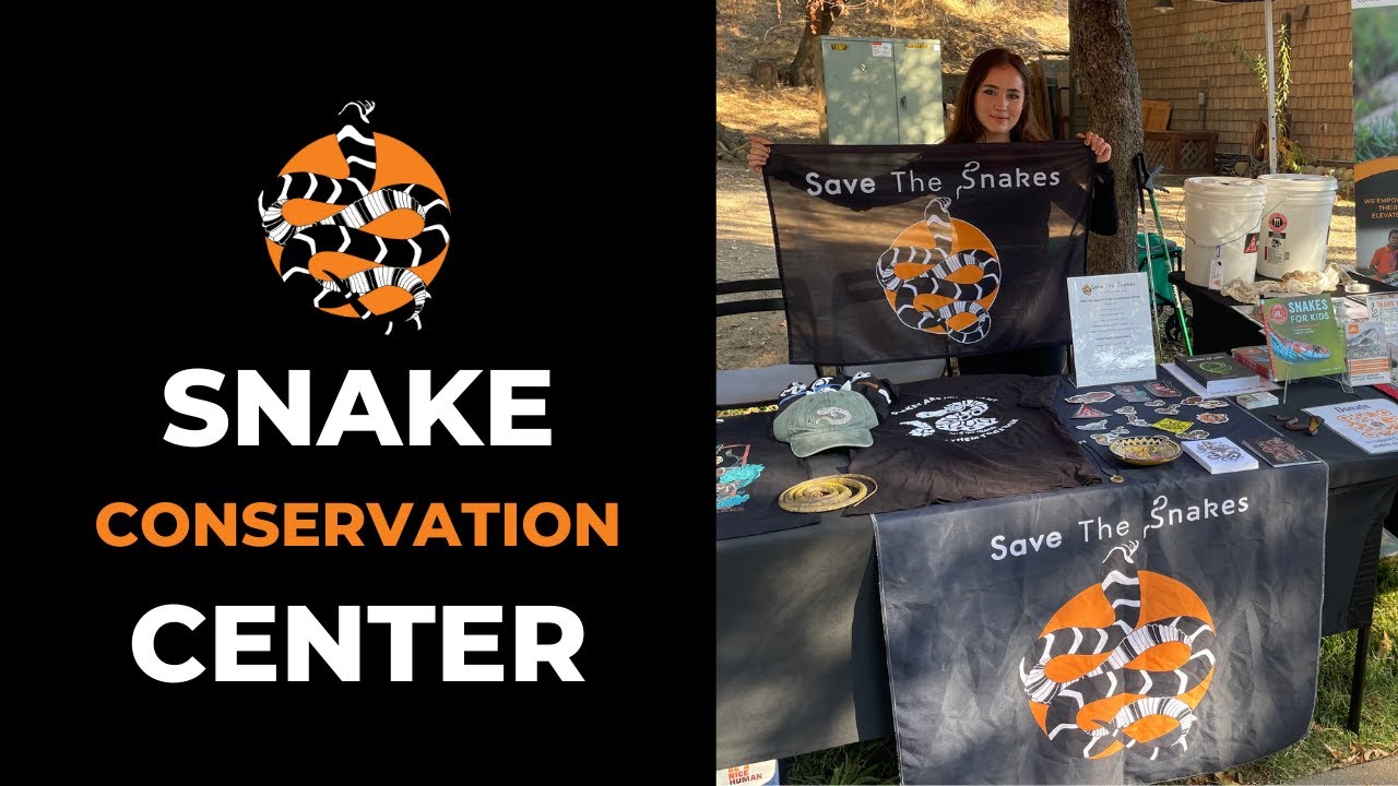 Tour the Snake Conservation Center in Sacramento, California - YouTube