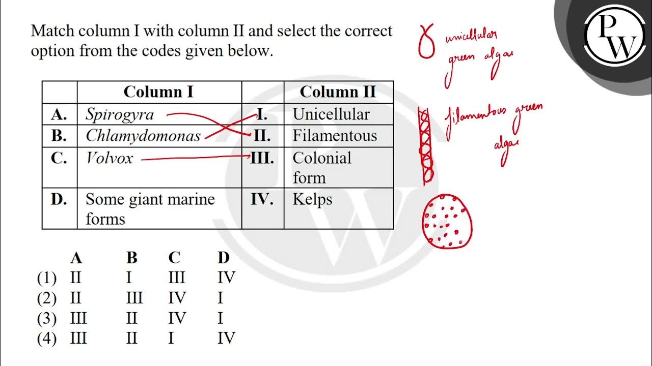 Match column I with column II and select the correct option from the codes given belo \begin{tab ...