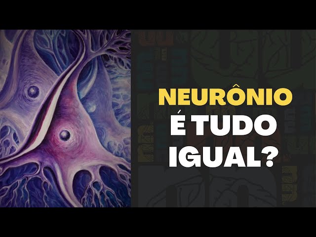 Tipos De Neuronios Sensorio Motores APhysio / Fisiologia, Farmacologia