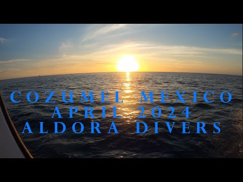 Cozumel Mexico April 2024 Aldora Divers night dive https://youtu.be ...