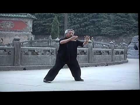 Yang Style Taijiquan 108 form 1 of 3 - YouTube