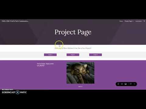 Website Walkthrough - YouTube