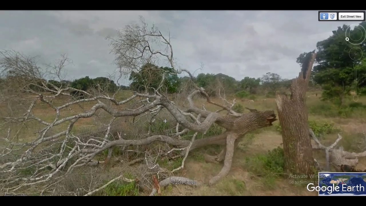 Deforestation of Wilpaththu National Park-2018 - YouTube