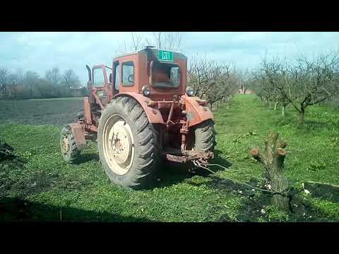 LTZ T40 čupa panj kajsije | pulls out the tree |