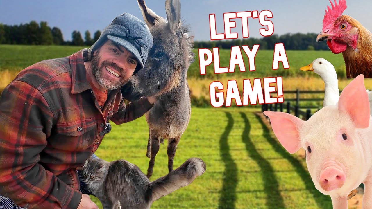 Help Farmer Jason Find The Animals 🐷 - YouTube