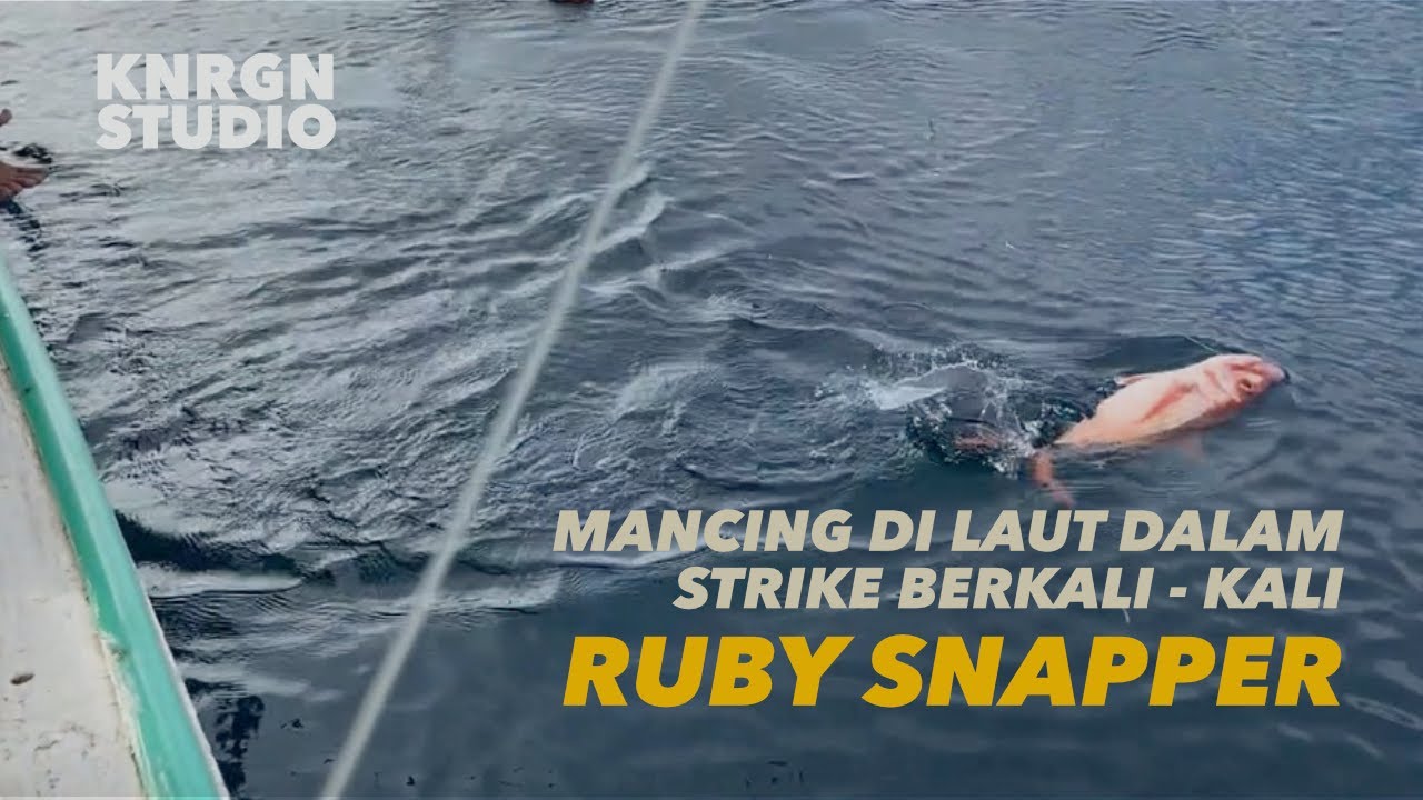 Mancing Di Laut Dalam Strike Berkali - Kali Ruby Snapper | Spot Laut Barru - YouTube