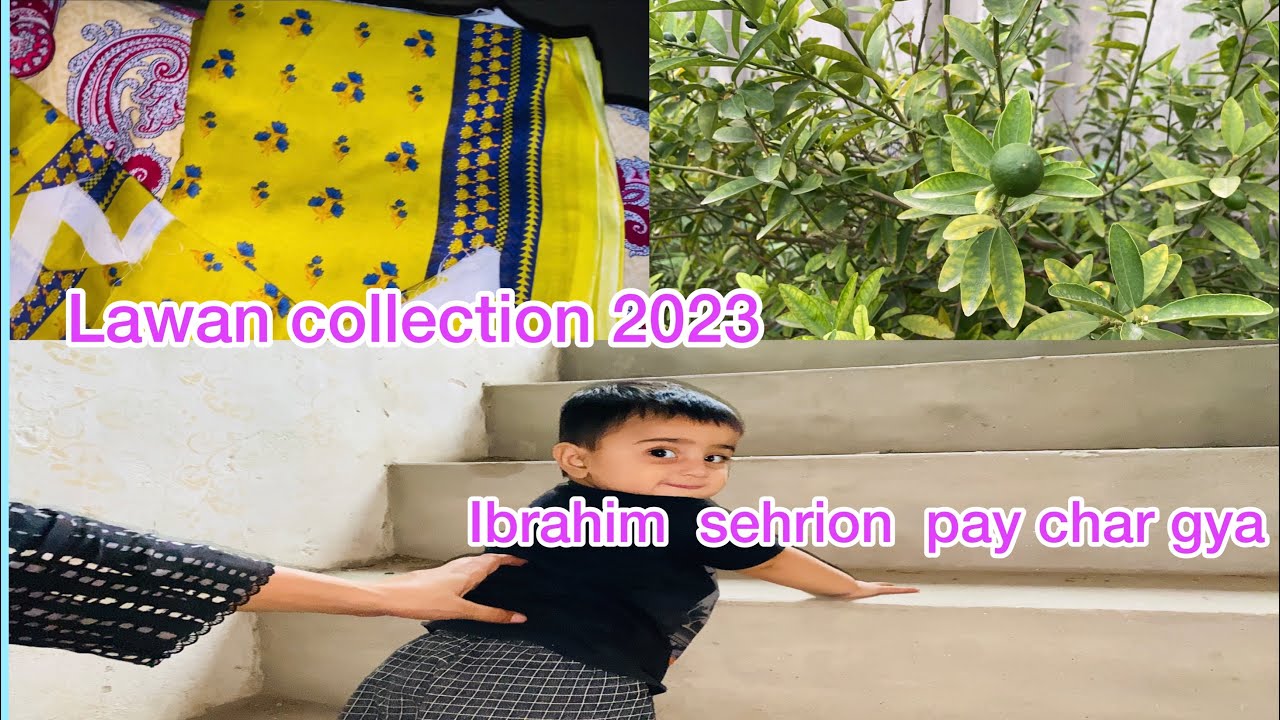 Asfi ni li train||Lawan 2023,lemon tree 🌳 ||Daily routine - YouTube