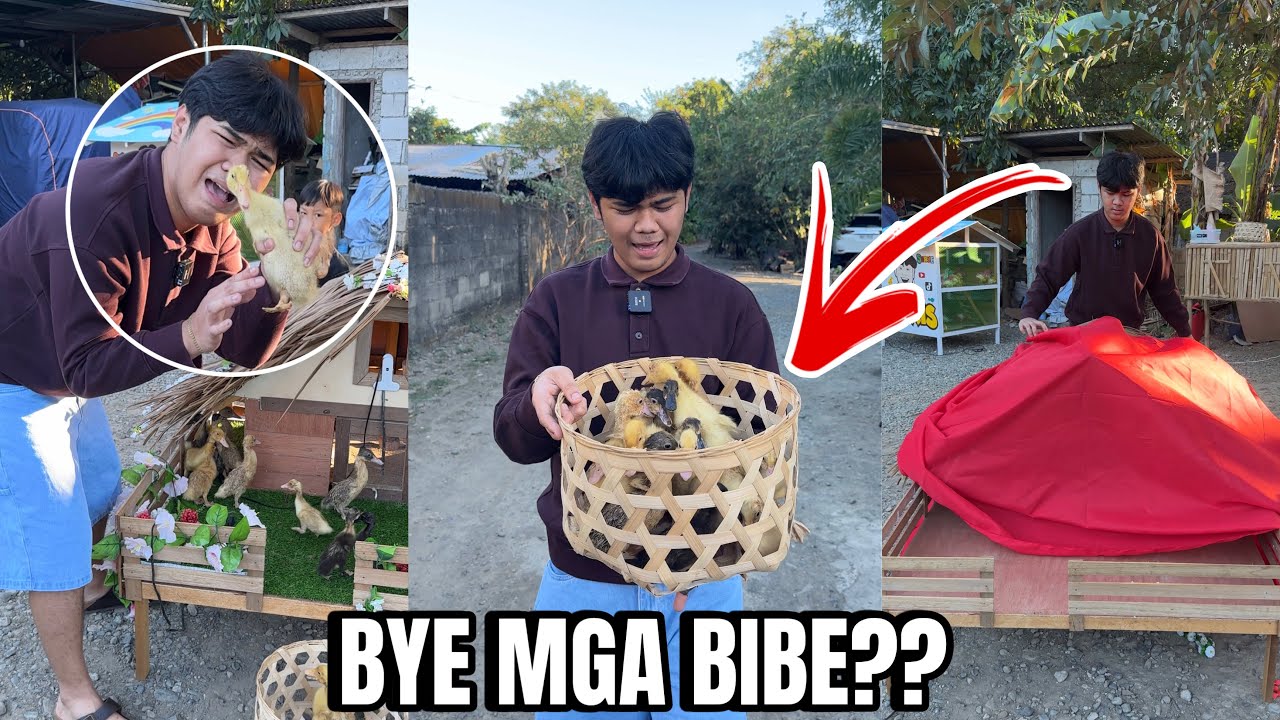 KAYLANGAN KONA GAWIN TO SA MGA BIBE KO DAHIL MALAKI NA SILA!!? - YouTube