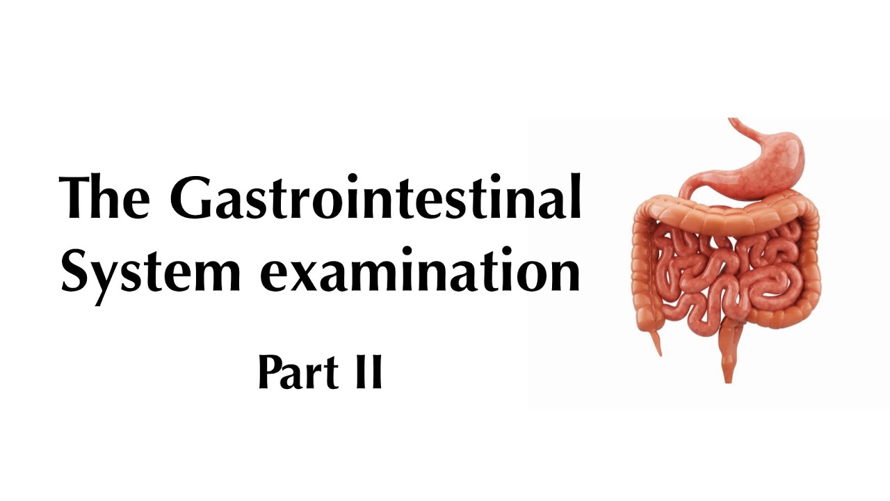 GI system physical examination PART II - Imp things to know 🔥 - YouTube