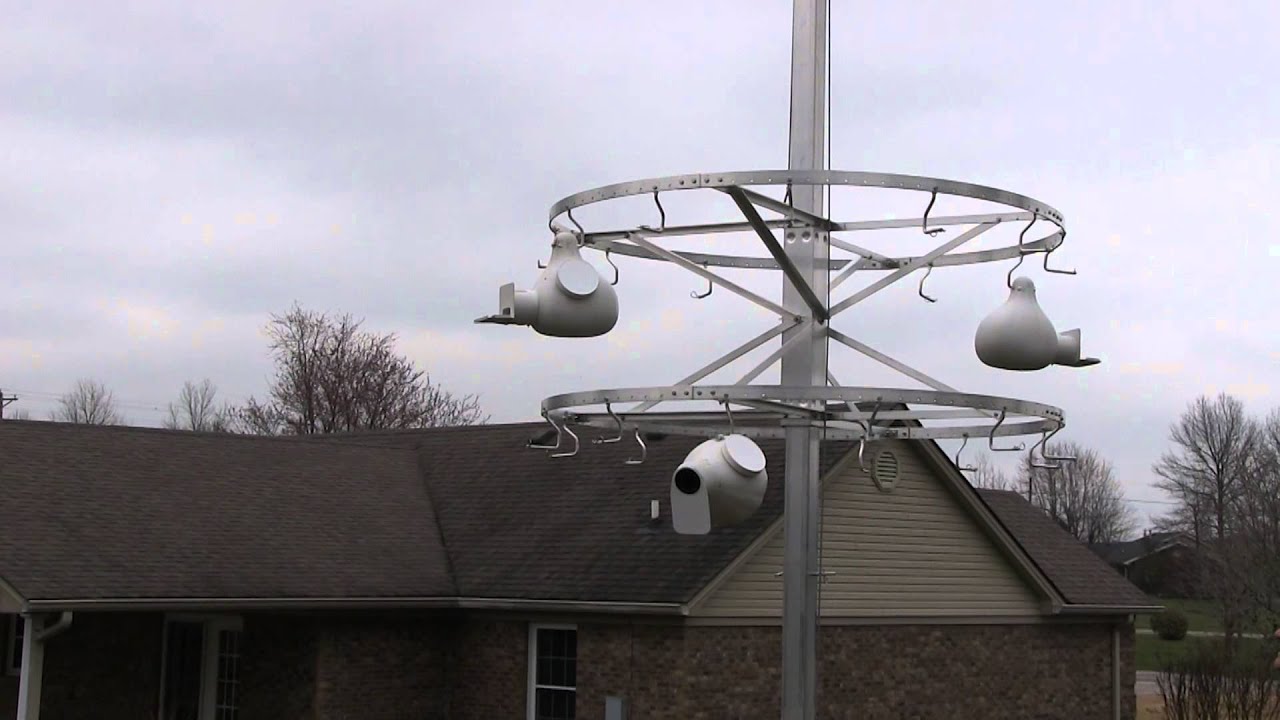 Purple Martin Boxes - YouTube