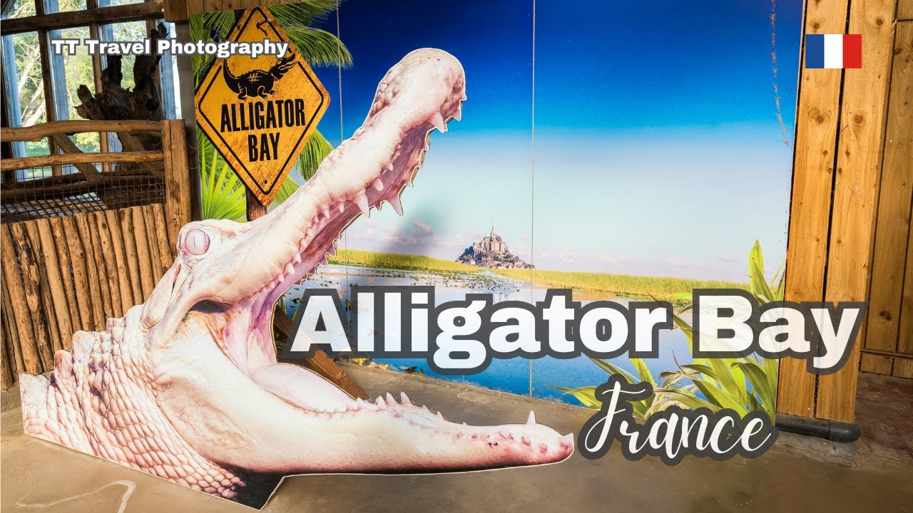Alligator Bay Mont Saint Michel, Beauvoir France / Visit the largest ...