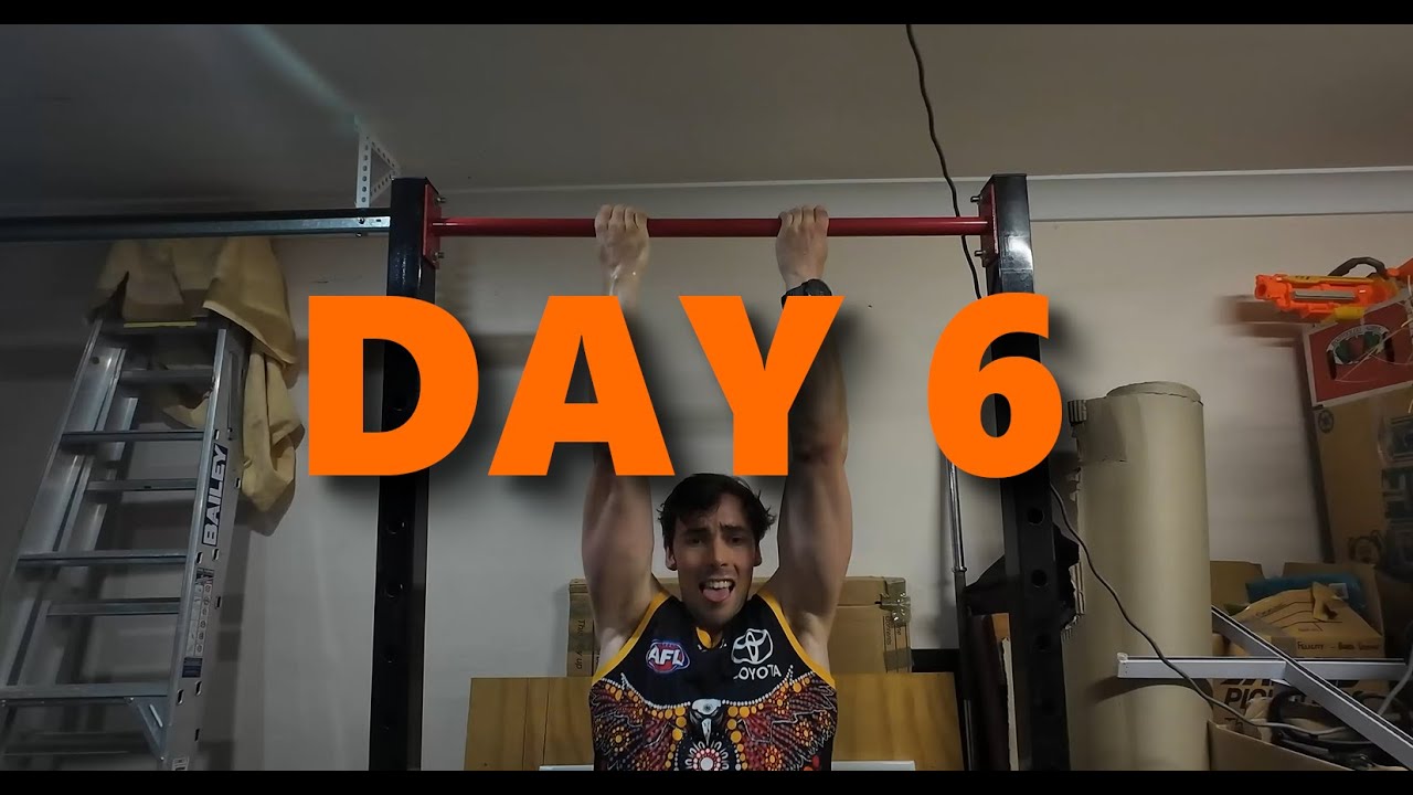 Day 6: Pull ups / Push ups / Waving Cats - active everyday for the rest ...