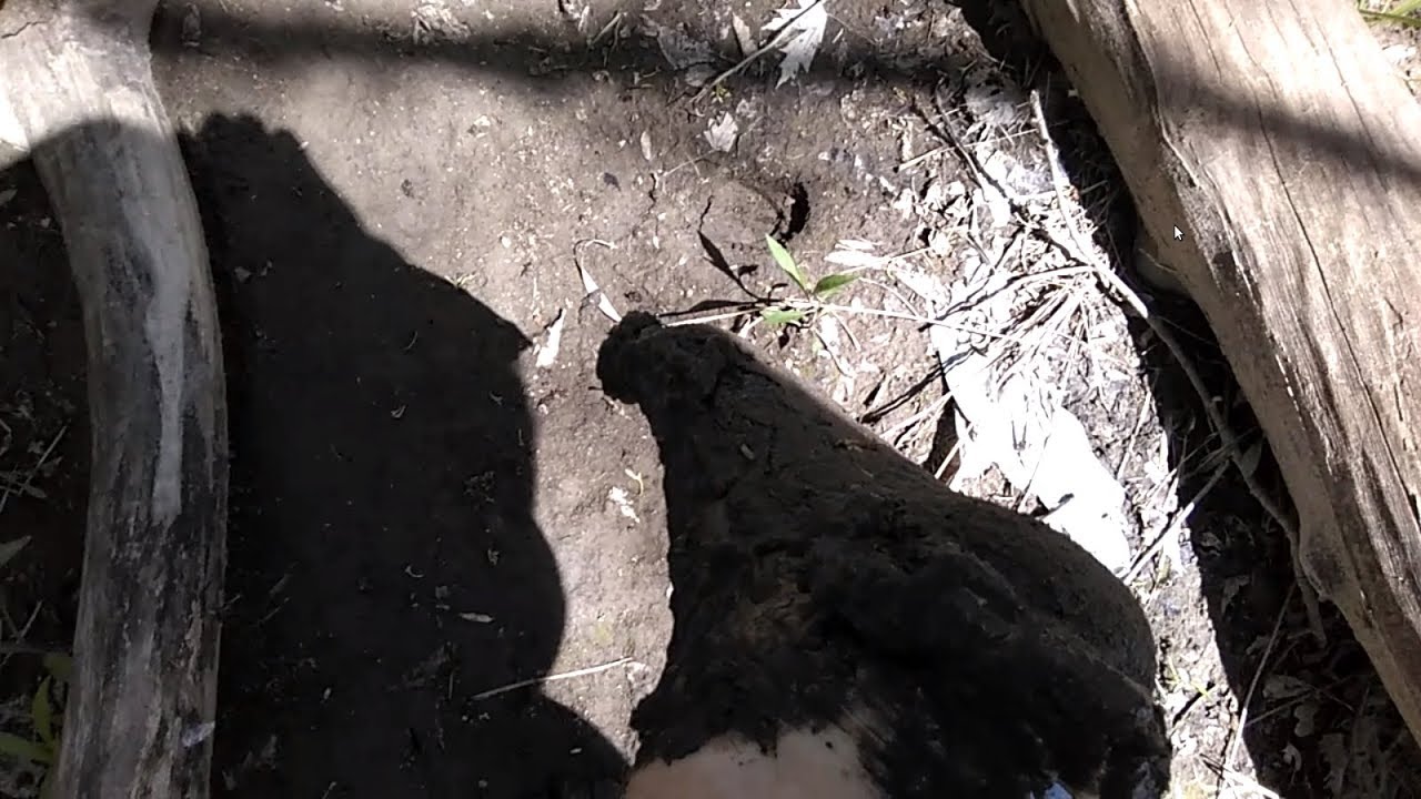 Barefoot walking in mud, 05/05/2019 at 134013 - YouTube