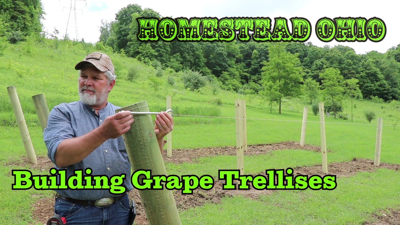 Building Grape Vine Supports