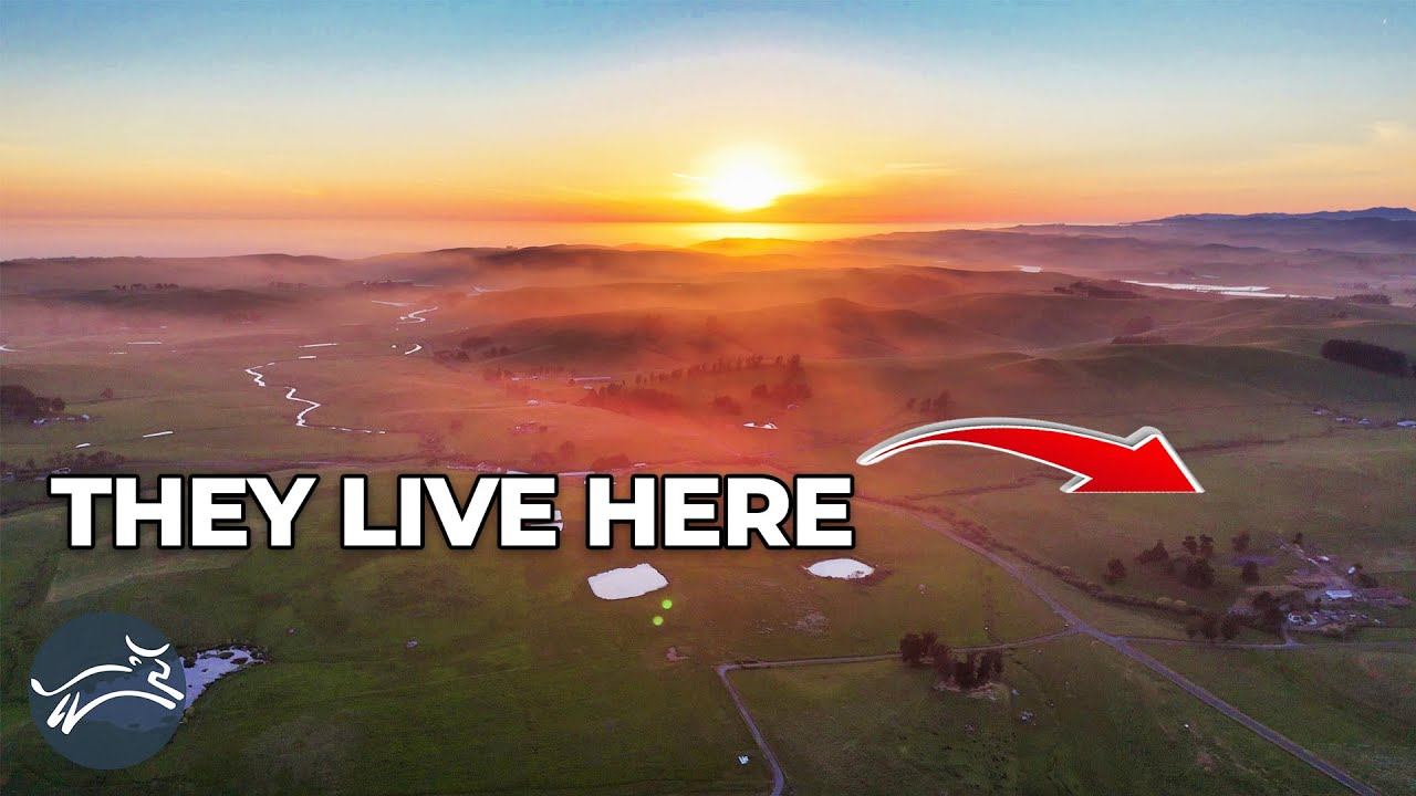 We Found a Regenerative Paradise in California! (8000 Acre Farm Tour ...