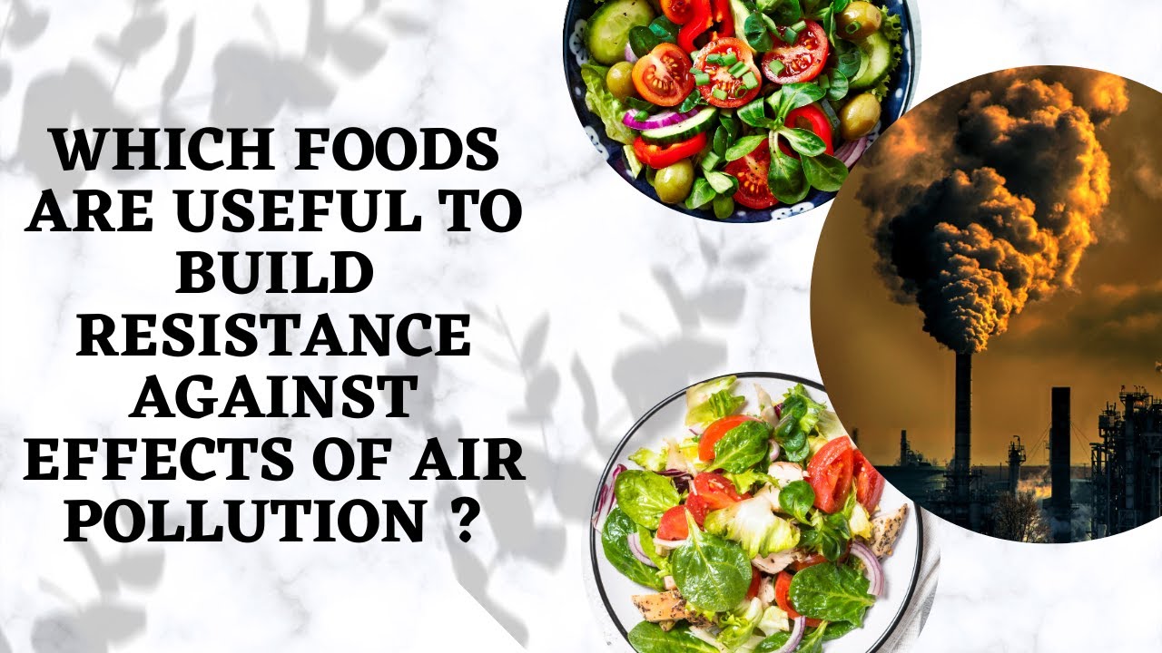 Foods To Build Resistance Against Effects Of Air Pollution| - YouTube