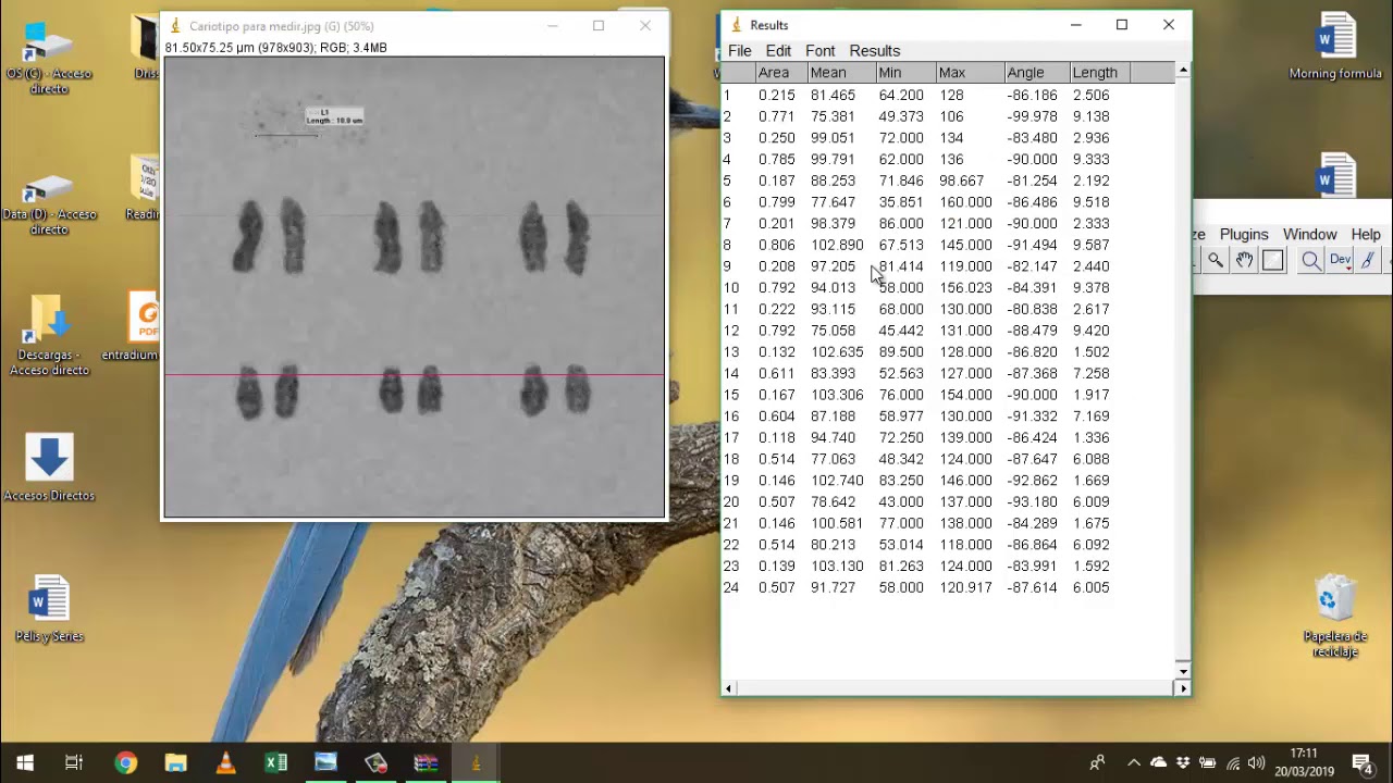 Cómo medir con ImageJ - YouTube