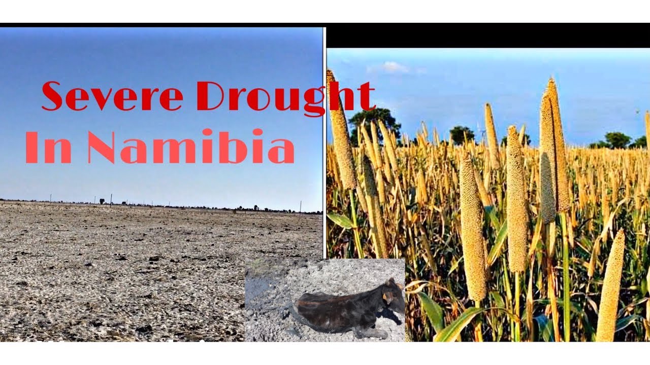 How To Survive The Drought In Namibia|Traveling Namibia🇳🇦 - YouTube
