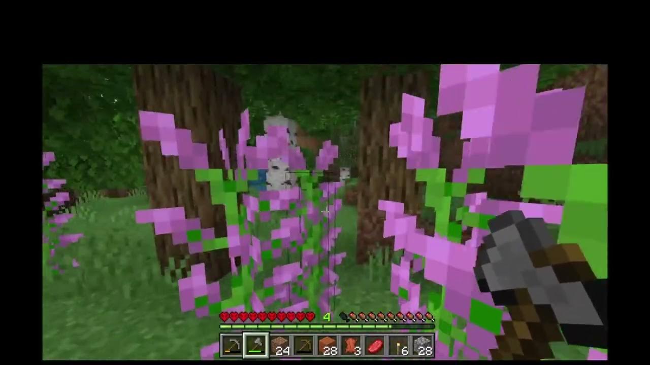 MINECRAFT - 2a parte ( CASI MUEROOOOOO...) modo Hardcore - YouTube