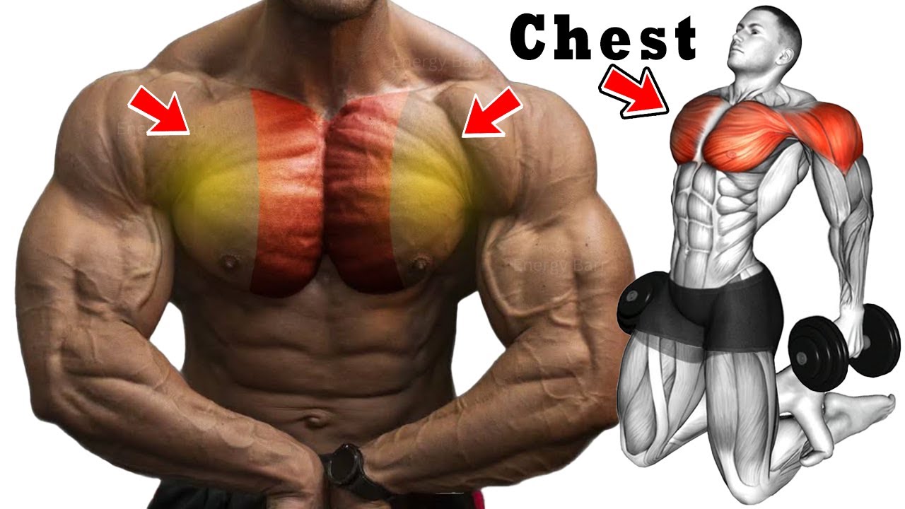 8 chest workout to turn your chest into a bigger chest - YouTube