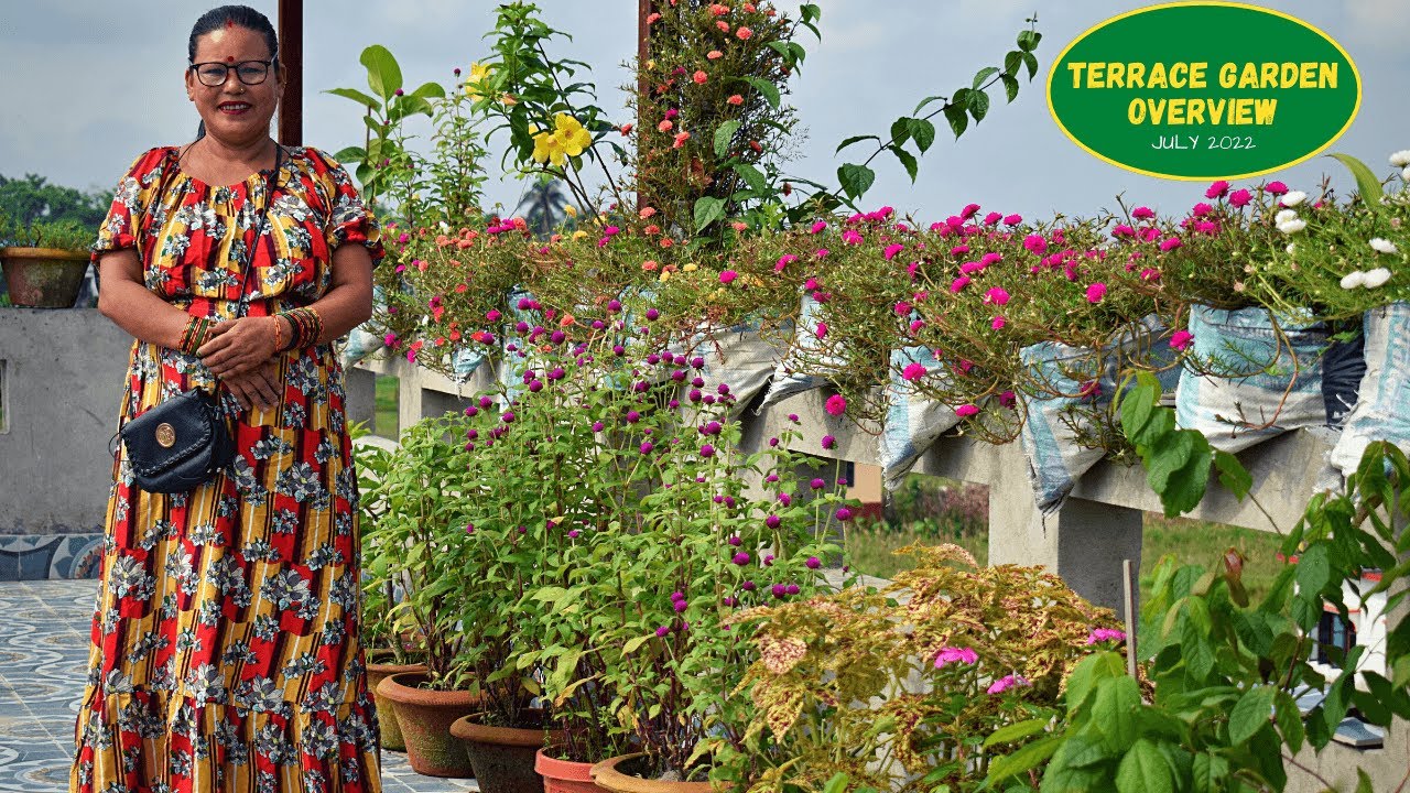 Terrace Garden Overview July - 2022 I Nepali Garden Tour I Nepali ...