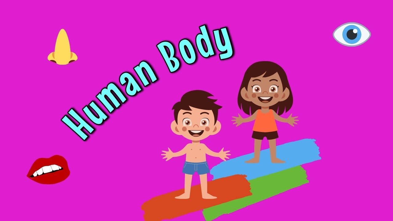 ORACIONES de las PARTES DEL CUERPO en INGLES / BODY PARTS SENTENCES in ...