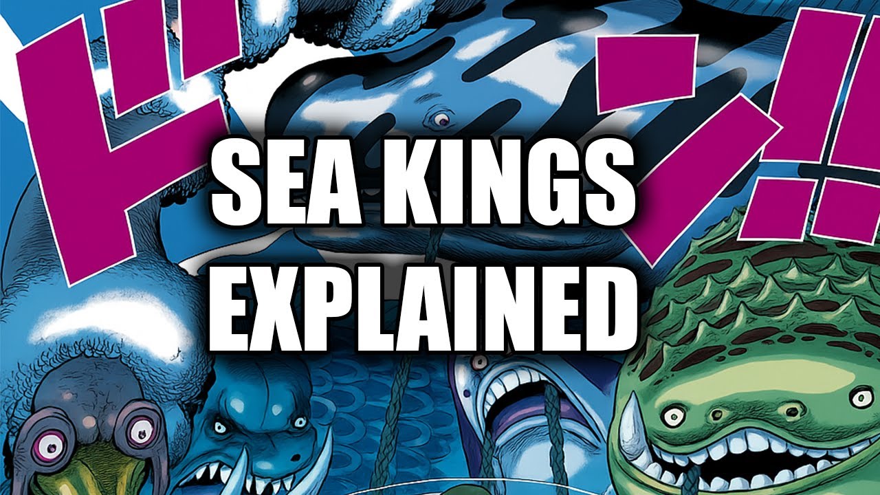 Sea Kings Explained | One Piece - YouTube