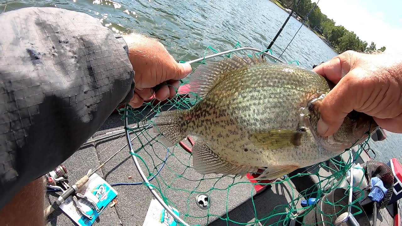 How To Catch Slab Crappie Using A GULP Sand Worm - YouTube