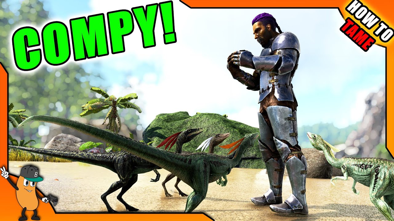 HOW TO TAME A COMPY! | ARK How To Tame Series - YouTube
