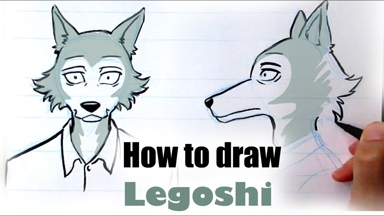 HOW TO DRAW LEGOSI / LEGOSHI from Beastars FACE AND PROFILE - YouTube