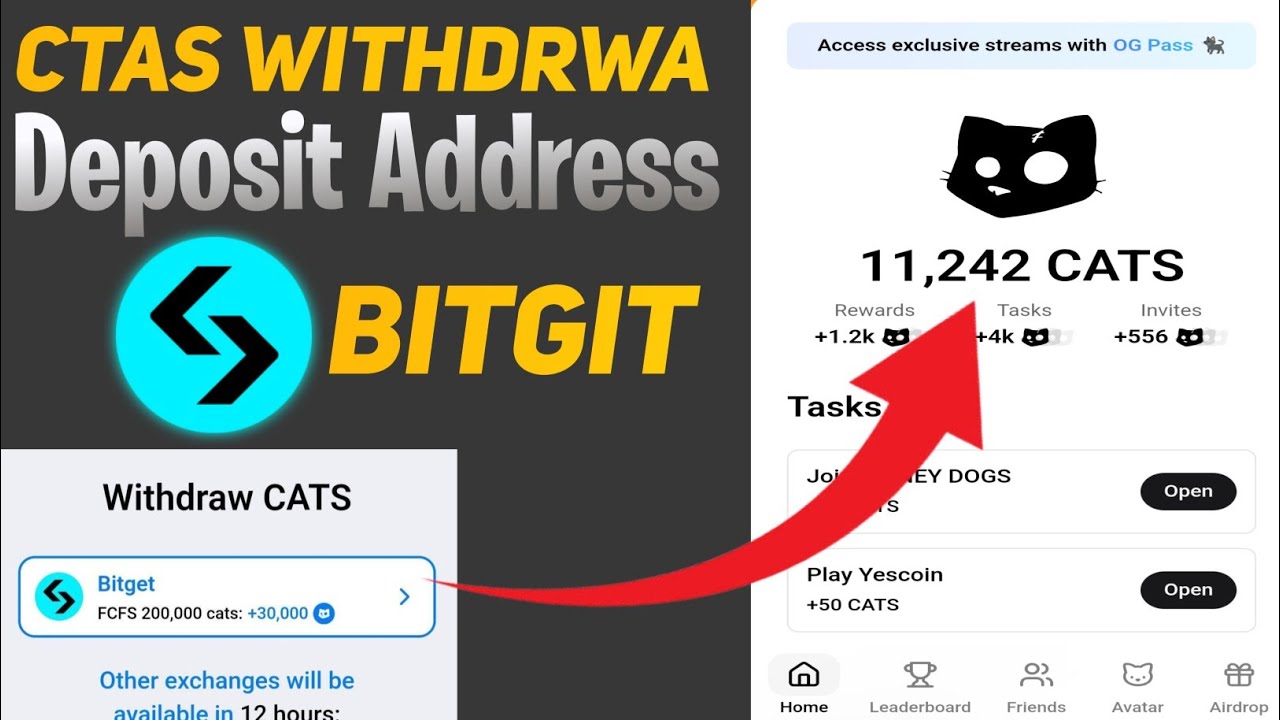 Cats Airdrop Withdrawal Bitget Cats Deposit Address & UID |Cats Token ...