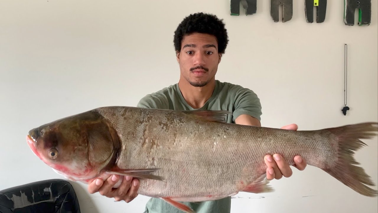 Big fish recipe! - YouTube