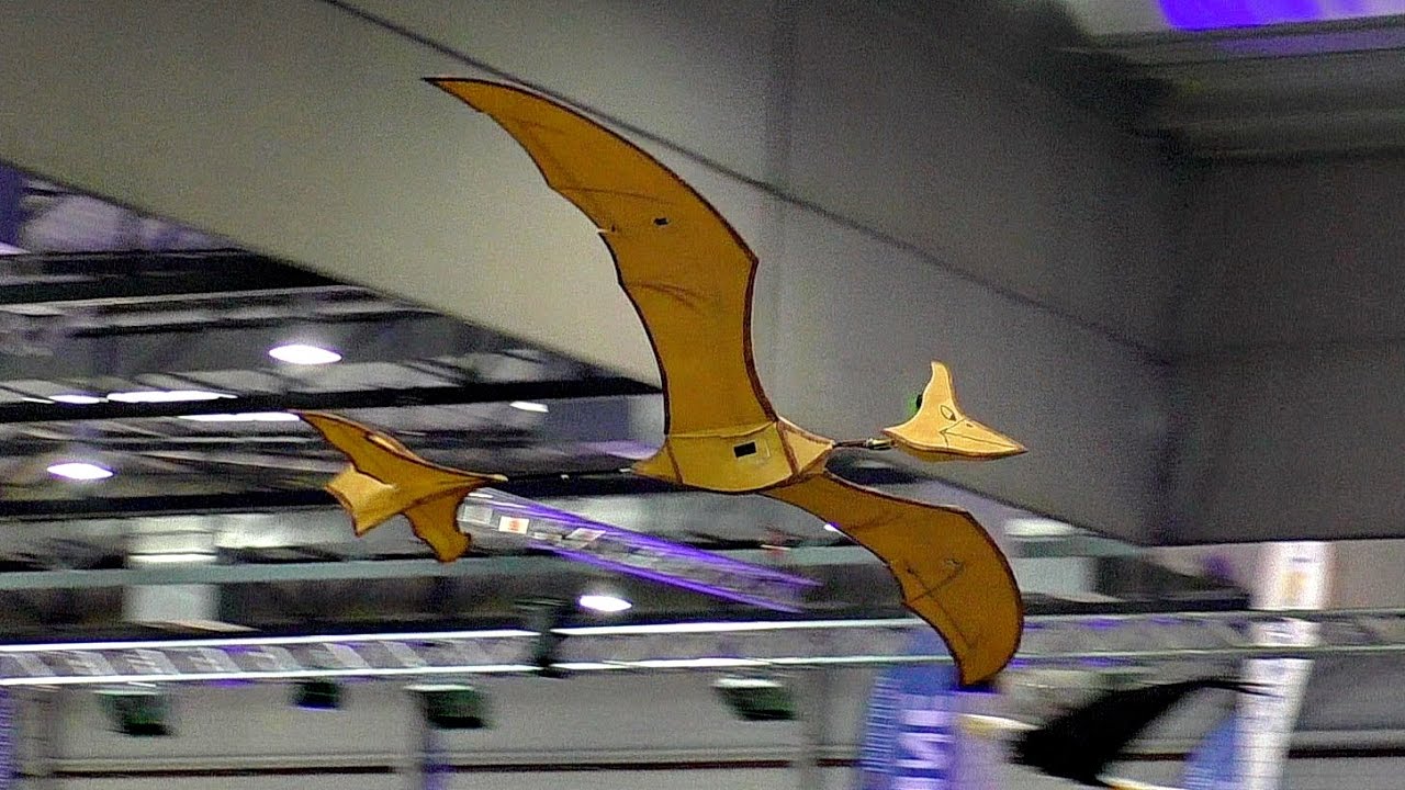 AMAZING RC BIRD ORNITHOPTER / INCREDIBLE FLYING MODEL INDOOR FLIGHT ...
