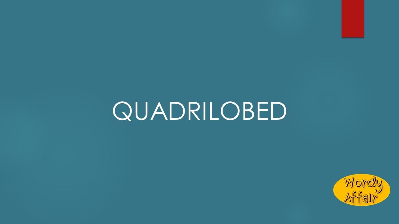 Quadrilobed Meaning - YouTube