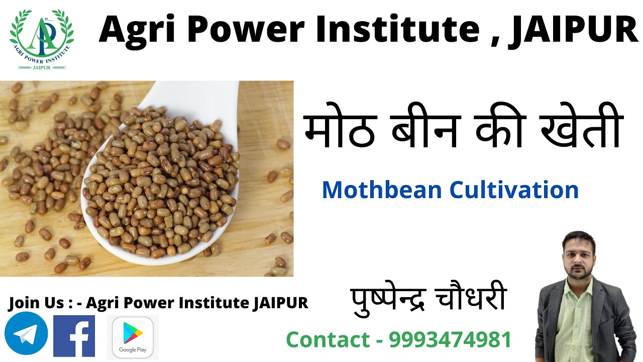 [01] Moth bean Cultivation ||Crop production || Pushpendra Choudhary ...