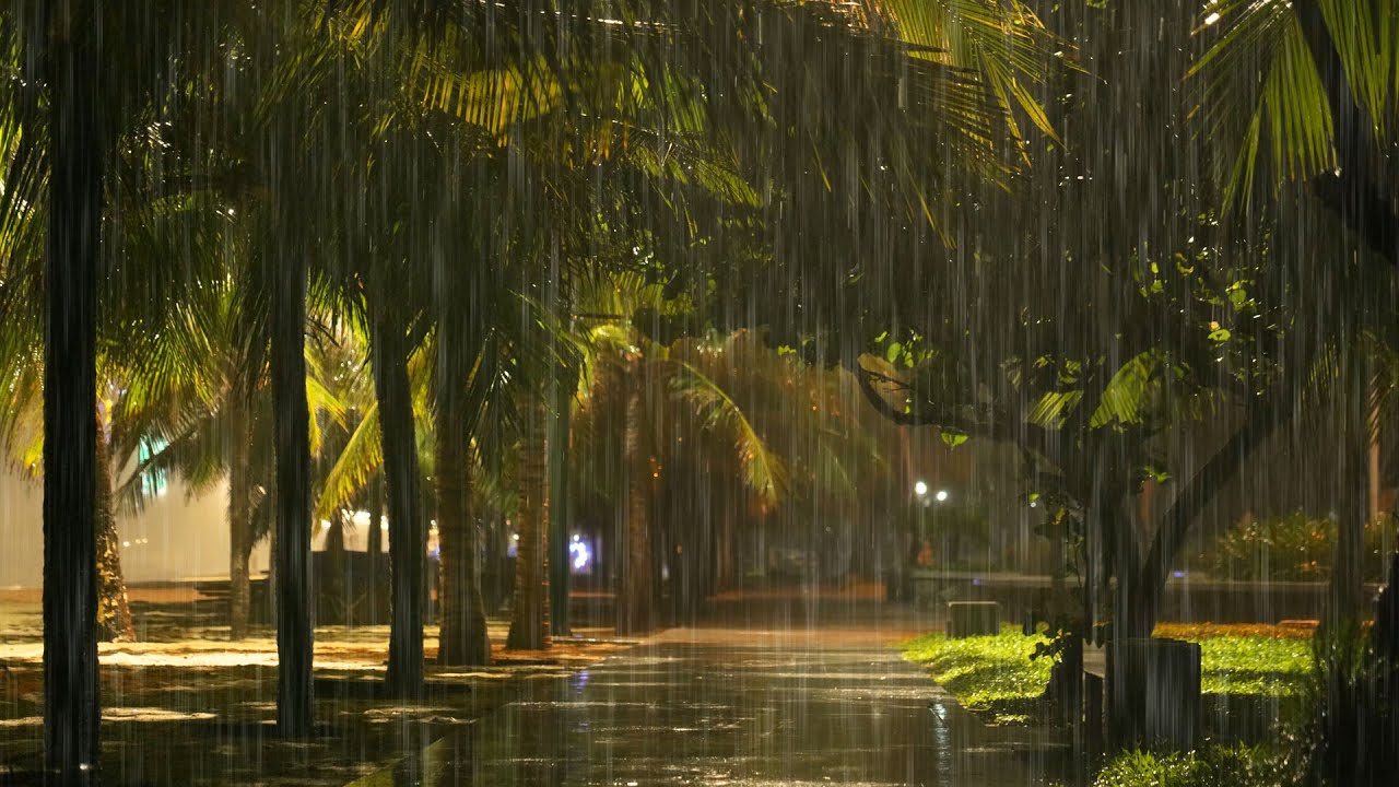 Sleep Well at Night with The Power of Storm and Rain in The Park - 3 ...