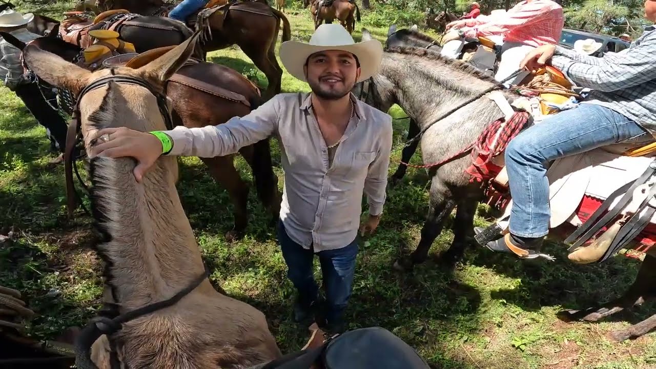 TRADICIONAL CABALGATA SURUTATO 2022🌲🐴🎥🪵 - YouTube