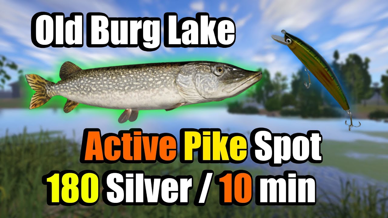 🎣Russian Fishing 4 RF4 - Old Burg Lake Active Pike Spot#302 - YouTube