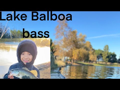 Lake balboa pre spawn fishing. - YouTube