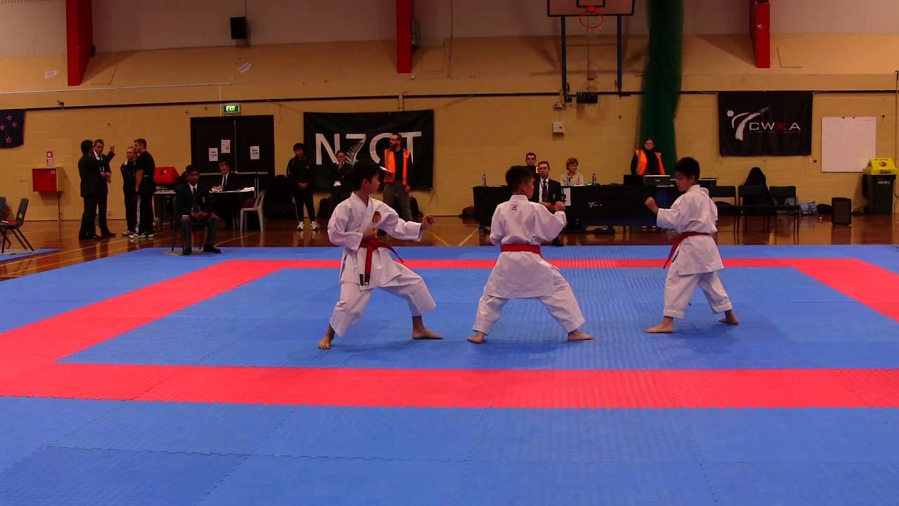 NZ Open Karate Championship 2014 (SSKANZ vs SSKANZ final team kata with ...