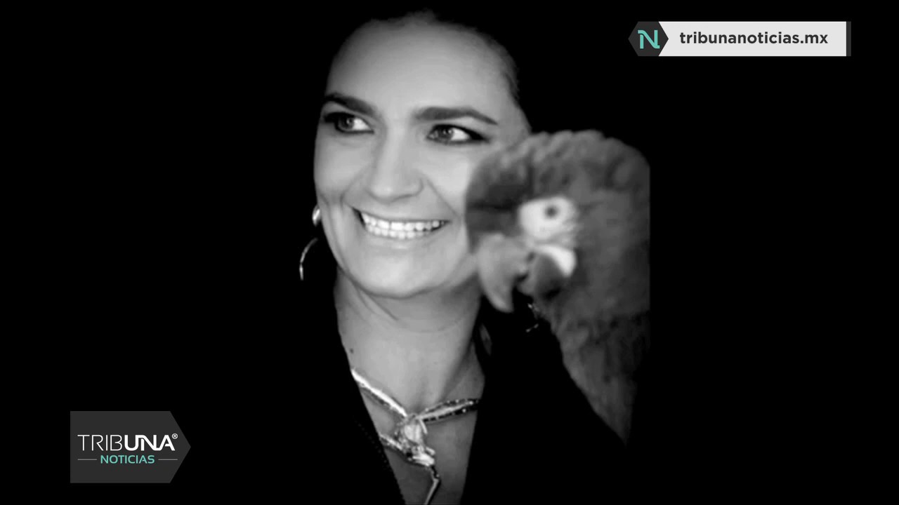 Descansa en paz, Amy Camacho - YouTube