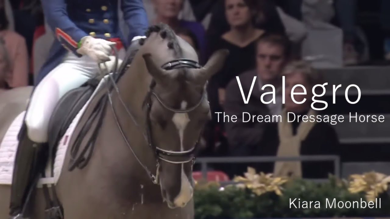 Valegro - The Dream Dressage Horse [ Tribute ] - YouTube