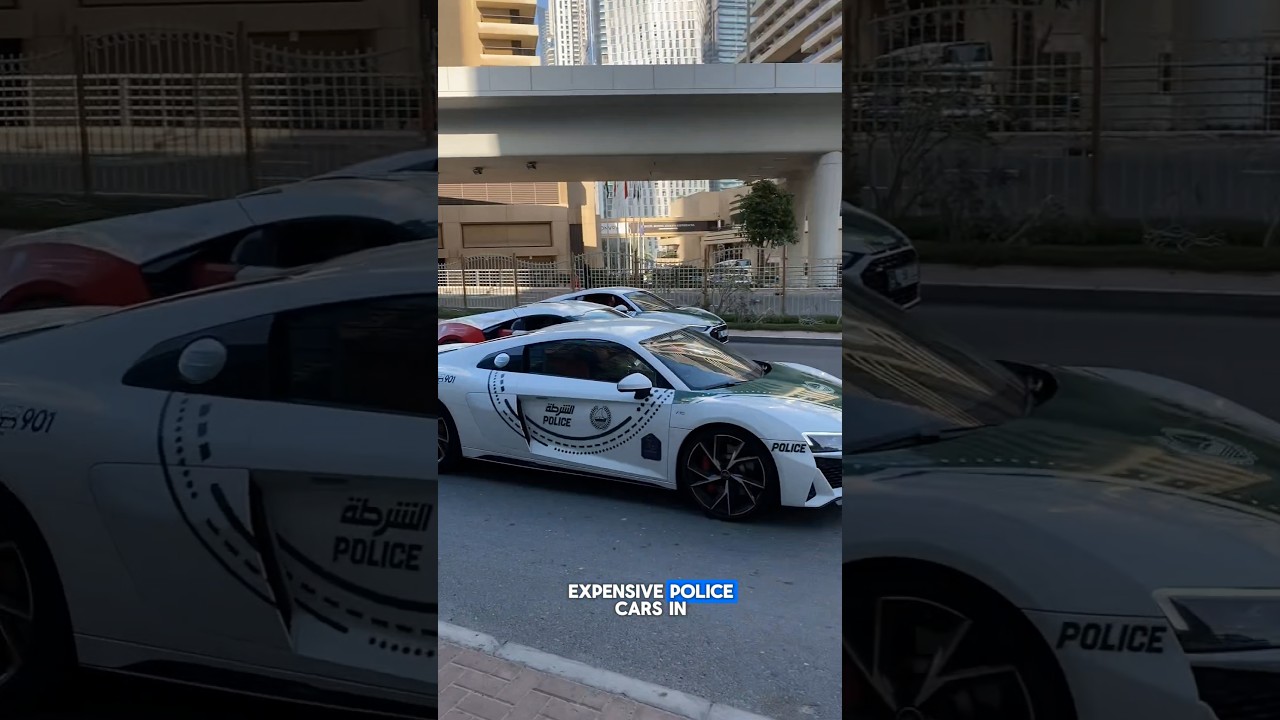 Dubai’s Elite Police Fleet – Luxury, Speed, and High-Tech Patrols ...